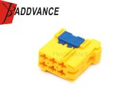 China TE Connectivity AMP 6 Pin Female BCM Computer Amplifier Plug 16-22AWG for Benz BMW for sale