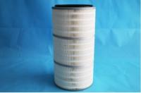 China Polyester filter cartridge for sale
