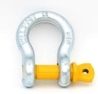 China ISO9001 Heavy Duty Stainless Steel D Shackle Screw Pin Type 5/8 inch 25 Ton for sale