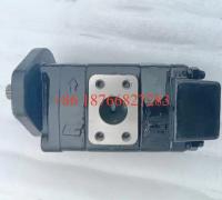 China Hydraulic Gear Pump VOE14543168 14543168 for EC700B EC700C EC700bhr Excavator Parts for sale