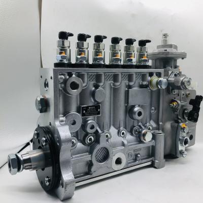 China Fuel Injector Pump 3926881 3991485 3926887 3938372 6CT8.3 QSC8.3 For Excavator Parts for sale