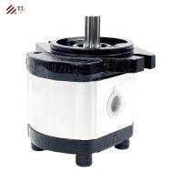 China 1515500013 AZPF Rexroth Single Double Gear Pump Hydraulic for Excavator Spare Parts for sale