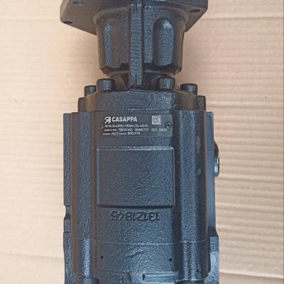 China High Guarantee Dieci BHD3119 Hydraulic Pump Casappa 799141AS for sale