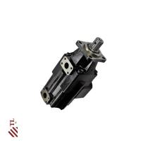 China Highly Durable T6GCC T7GBB T67GCB Parker Denison Double Vane Pump for Crawler Excavator for sale