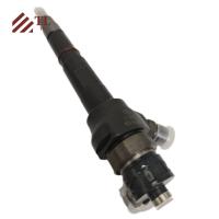 China 0445 110  647 Common Fuel Injector  High Guarantee for sale