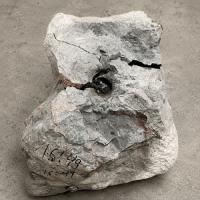 China HSCA Soundless Expansive Mortar Non Explosive Demolition Agent Static Cracking Powder for Rock Concrete for sale