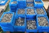 China N38 Fishing Neodymium Magnet POT/CUP Shape Super Strong Composite Neodymium Fishing for sale