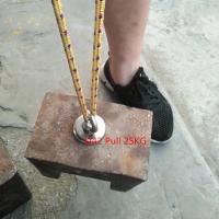 China LFYGY Super Strong Neodymium Fishing Magnets Retrieving Perfect for Various Applications for sale