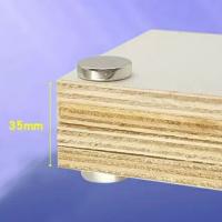 China N52 Rare Earth Magnets with ISO9001 2008 Certification in Round Disc Neodymium Magnets for sale