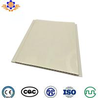 China WPC / PVC Wall And Ceiling Panel Board Extrusion Line PVC Panel Extruder Machine for sale