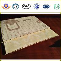 China PVC Wall Panel Machine PVC Ceiling Panel Production Line WPC Extrusion Machine for sale