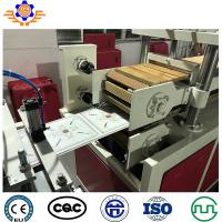 China Double Screw PVC Ceiling Production Line  Plastic Profile 200kg/H Wall Panel Making Machine for sale