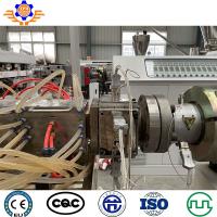 China 150kg/H 250kg/H Fully Automatic Pvc Sheet Wpc Foam Board Making Machine for sale