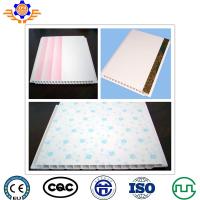 China 5mm 6mm PVC Wall Panel Extrusion Line PVC Ceiling Panel Making Machine for sale