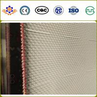 China Indoor Anti Slip Carpet Coating Backing Fabric Making Machine 300Kg/H for sale