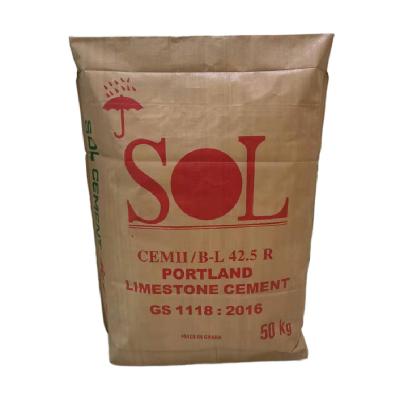 China Custom Woven PP Valve Bag 25Kg 50Kg Capacity 70-100GSM for Cement Gypsum Powder Packaging for sale