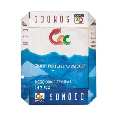 China Ad Star Block Bottom Valve Bag 25KG 40KG 50KG Cement Valve Sack for sale