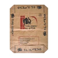 China Best Sale 20KG 25KG 40KG 50KG  PP Valve Block Bottom empty cement bag China manufacture for sale