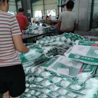China 80GSM PP Woven Valve Cement Bag 50KG Capacity with 63x50cm Dimensions and 12 Month Warranty for sale