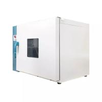 China Forced Blast Hot Air Drying Oven 300°C Environmental Testing Equipment 220V for sale