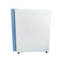 China Industrial Hot Air Drying Oven 300°C Stainless Steel Lab Heating Chamber for Laboratory Use for sale