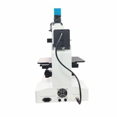 China Digital Microscope 40X-1000X Educational Optical Microscope with Infinity Correction System for sale