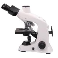 China Infinity Optical Biological Microscope 40x-1000x High Precision Coaxial Focus for sale