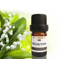 China Ilan Aroma Diffuser Essential Oil Car Air Freshener 500ml Capacity with 3-Month Battery Life for sale