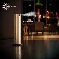 China Waterless Floor Standing Scent Diffuser 800ML Cold Air Aroma Machine for Commercial Use for sale