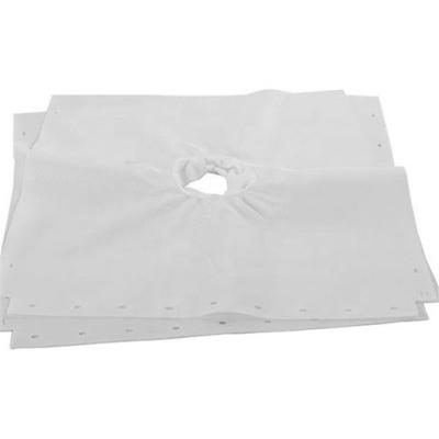 China Customizable Plate And Frame Filter Cloth For Filter Press For High Flow Rate for sale
