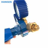 China YQQ-9 hydrogen pressure regulator with dual gauges , all-brass body , 0.02–0.25MPa outlet range . Built for industrial welding , cutting & lab H2 supply for sale