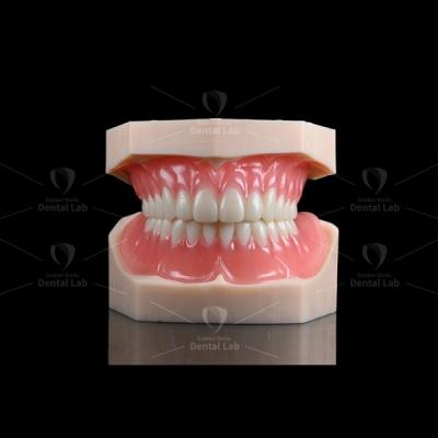 China CAD CAM 3D Printed Denture Biocompatible Acrylic Partial Denture for sale