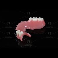 China Biocompatible Acrylic Full Denture 3D Printing Digital Dentures for sale