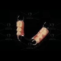 China Biocompatible Printed Partial Framework Co-Cr & Acrylic Partial Denture for sale