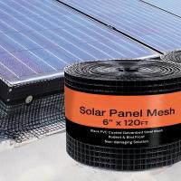 China Galvanized Steel Pigeon Proofing Mesh Weld Black Pvc Coated 6