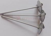 China 14 Ga 304 Ss Round Head Lacing Anchors With Strong Big Head On Nail And Thick Plate For Head for sale
