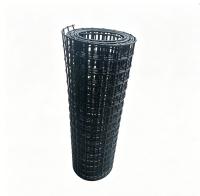 China Black PVC Coated Solar Stainless Steel Weld Mesh Roll Solar Panel Anti Bird And Anti Rodent Protection Mesh for sale