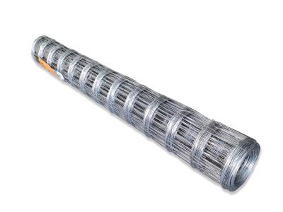 China Building Roof Protection Stainless Steel Weld Mesh Anti Drop Safety Net for Construction for sale