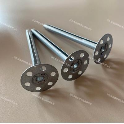 China Disc Type Metal Thermal Insulation Anchor Bolts Anti Aging Insulation Board Nails for sale