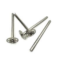China Disc Type Metal Thermal Insulation Anchor Bolts Anti Aging Insulation Board Nails for sale