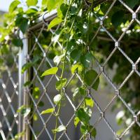 China Marine Grade Stainless Steel Vertical Garden Trellis With High Tensile Strength for sale