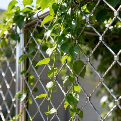 China Marine Grade Stainless Steel Vertical Garden Trellis With High Tensile Strength for sale
