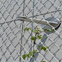 China Custom Cut Green Wall Trellis System In AISI316 Stainless Steel With 12 KN Load Capacity for sale