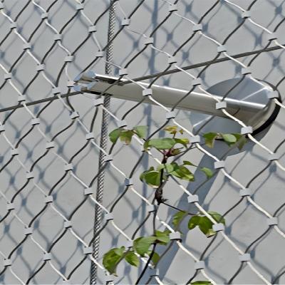 China Custom Cut Green Wall Trellis System In AISI316 Stainless Steel With 12 KN Load Capacity for sale