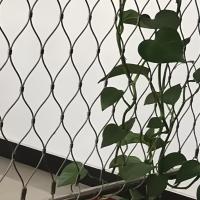 China Stainless Steel Vertical Planting Mesh Green Wall Wire Trellis With 100mm Wall Distance for sale