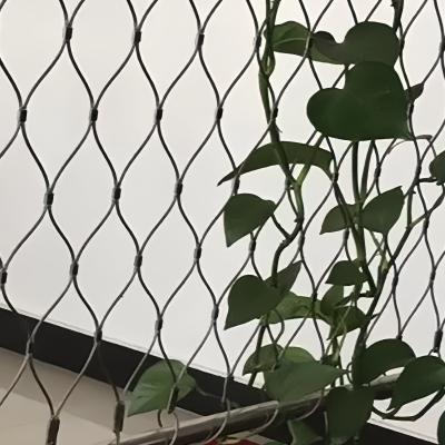 China Stainless Steel Vertical Planting Mesh Green Wall Wire Trellis With 100mm Wall Distance for sale