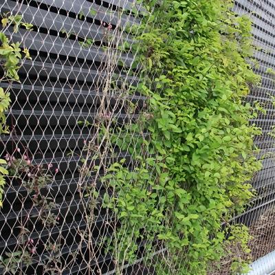 China Heavy Duty 316 Stainless Steel Green Wall Cable Trellis System Corrosion Resistant Plant For Exterior for sale
