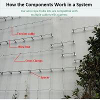 China Custom Cut Green Wall Trellis System In AISI316 Stainless Steel With 12 KN Load Capacity for sale