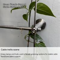 China Modular Stainless Steel SS304/SS316 Plant Wire Trellis Frame With 12