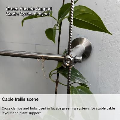 China Modular Stainless Steel SS304/SS316 Plant Wire Trellis Frame With 12